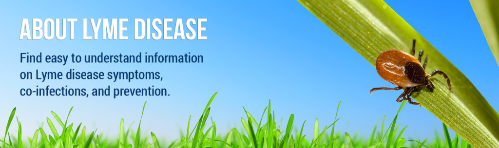 Lyme disease is one of the fastest growing infectious diseases in the ...