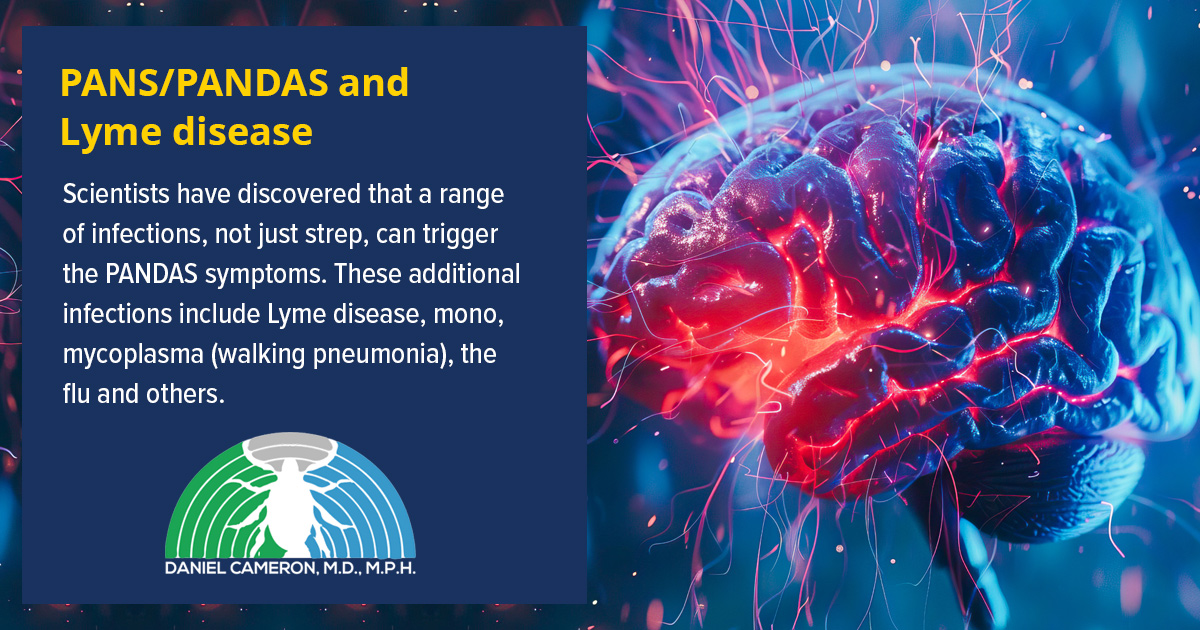 PANS and PANDAS are triggered primarily by infections like Lyme disease.