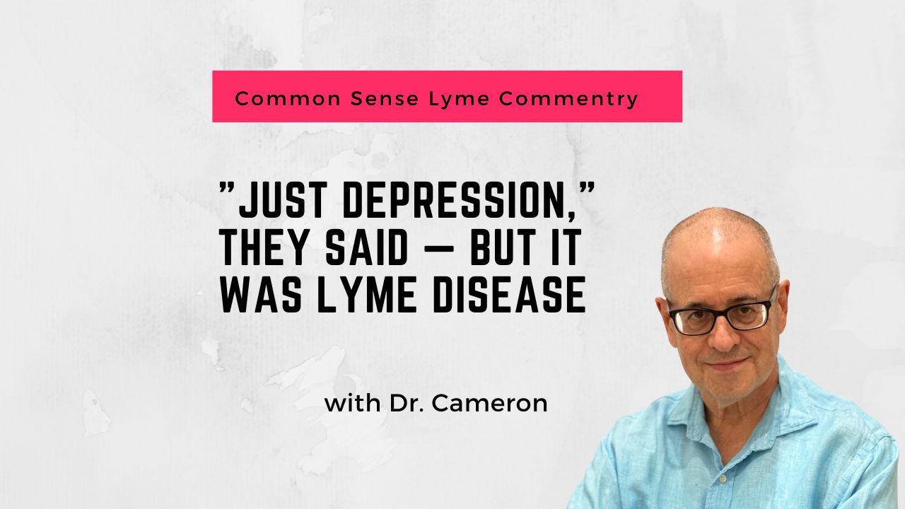 Lyme Disease Depression Not Just Depression