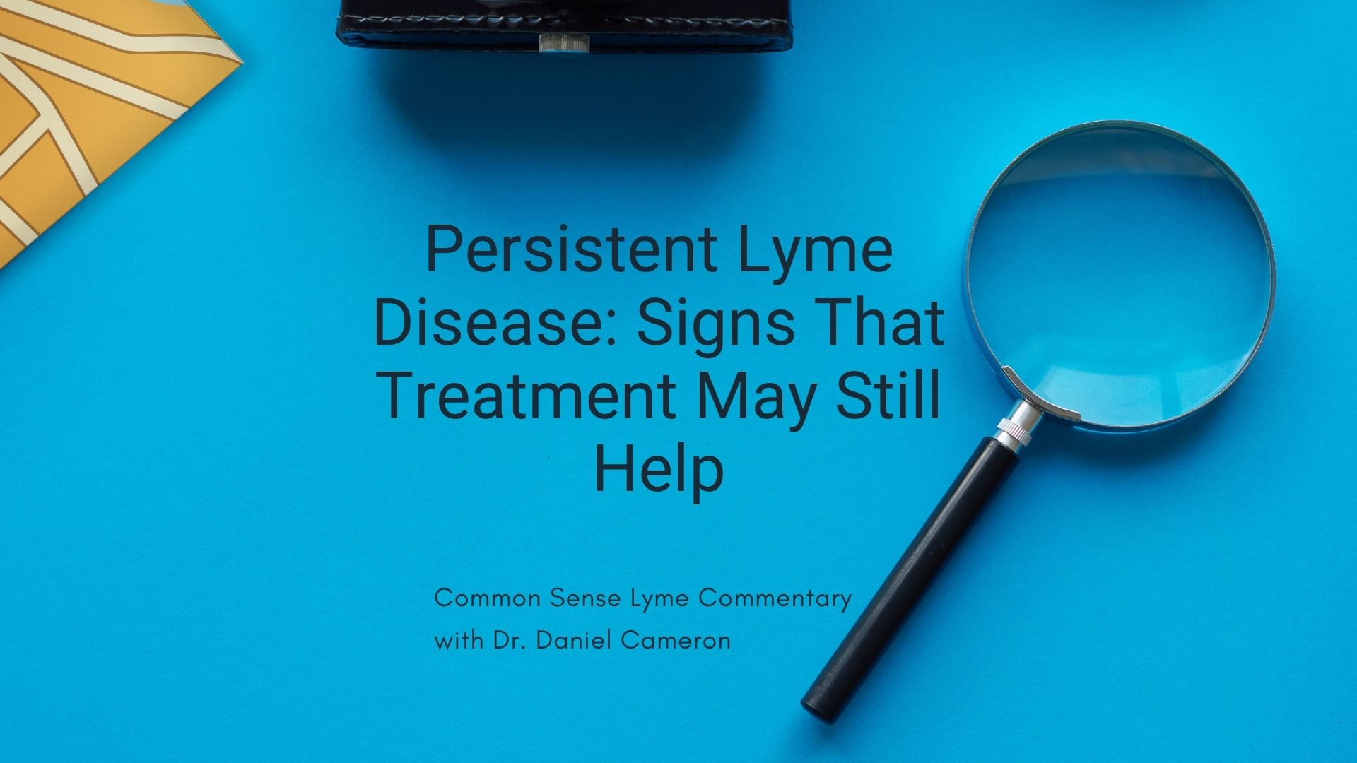 Persistent Lyme Disease: Clues You Can Treat - Daniel Cameron MD