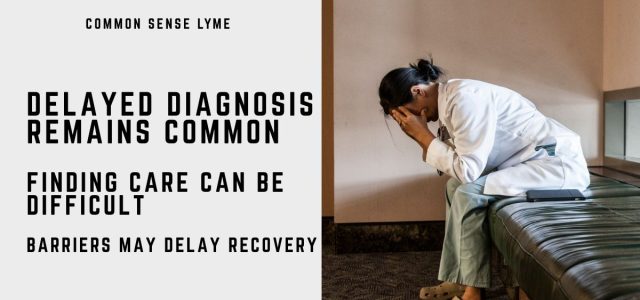 Why Lyme Disease Patients Struggle to Find Care